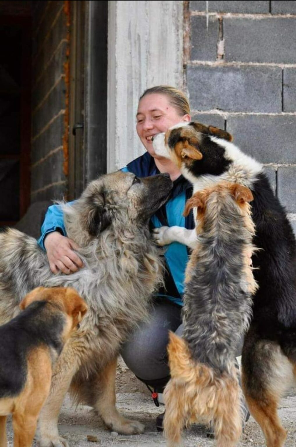Stichting Woozy | Rescue Dogs | Adopteer een hond